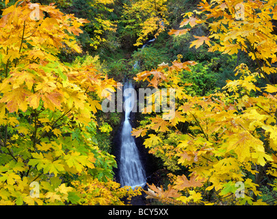 Shepperd's Dell Waterfall, Columbia River Gorge National Scenic Area ...