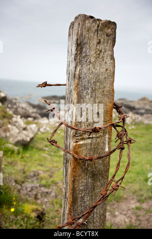 barbed wire on a fence post Stock Photo - Alamy