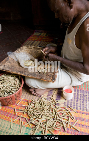 A man making bidi cigarettes in India Stock Photo - Alamy