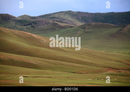 Landscape of the Orkhon Valley in Mongolia Stock Photo - Alamy