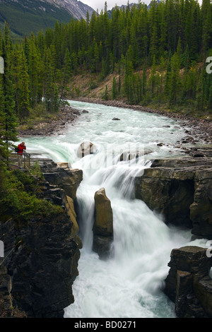 The impressive Sunwapta Falls in Jasper National Park in the beautiful ...