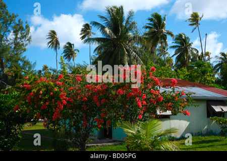 Rotoava streets, Fakarava, Tuamotu Archipelago, French Polynesia Stock ...