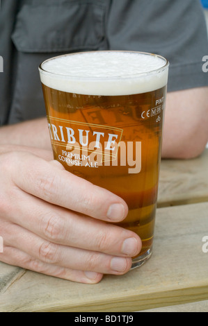 A pint of Tribute beer or real ale brewed by the St Austell Brewery ...