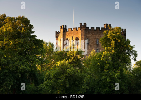 Site of Norman Motte and Bailey Castle at Castle Hill, Horsford ...