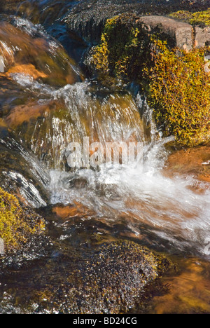 Fresh sparkling water falling over green moss of a beautiful waterfall ...