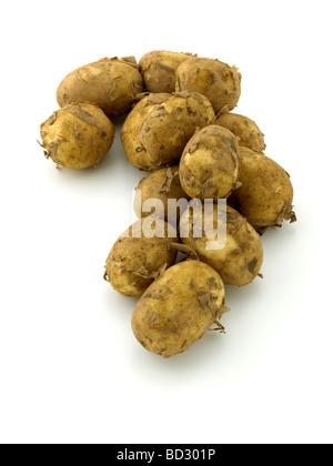New harvest, fresh potatoes, ready to cook, close up Stock Photo - Alamy