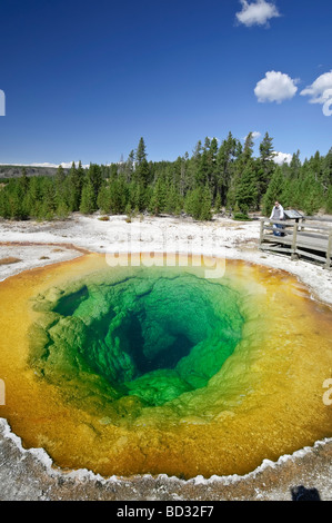 morning glory pool, yellowstone national park Stock Photo - Alamy