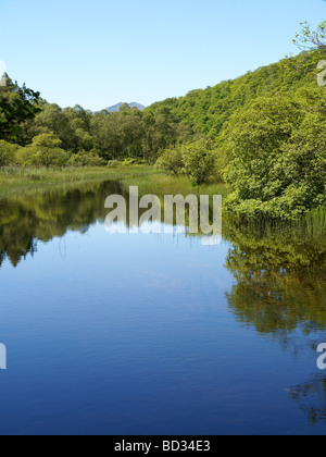Kayak on Loch Ard in the Trossachs Scotland Stock Photo - Alamy
