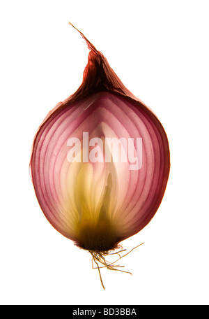 Onion, onion, onion section Stock Photo - Alamy