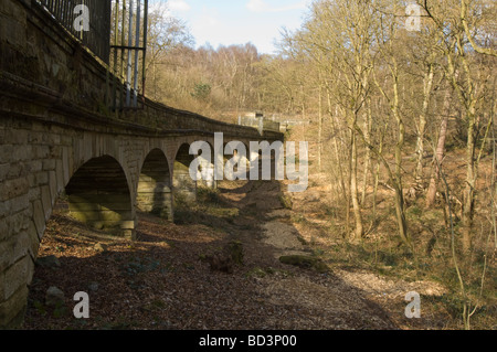 Seven Arches Aqueduct and Conduit Facade over Adel Beck Scotland Wood ...