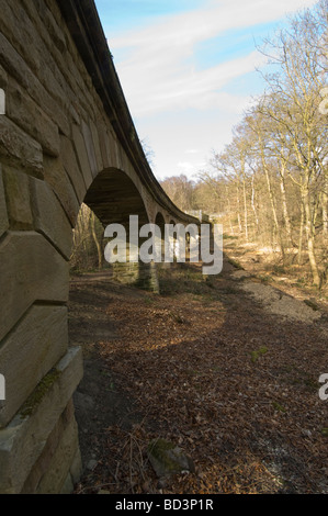 Seven Arches Aqueduct and Conduit Facade over Adel Beck Scotland Wood ...