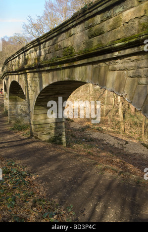Seven Arches Aqueduct and Conduit Facade over Adel Beck Scotland Wood ...