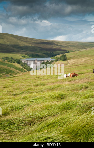 Fan Fawr and Beacons Reservoir from the path to Corn Du, Brecon Stock ...