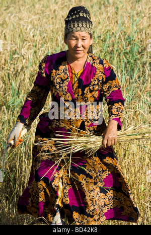 Uzbek Woman Harvesting Grain in Rural Uzbekistan Stock Photo - Alamy