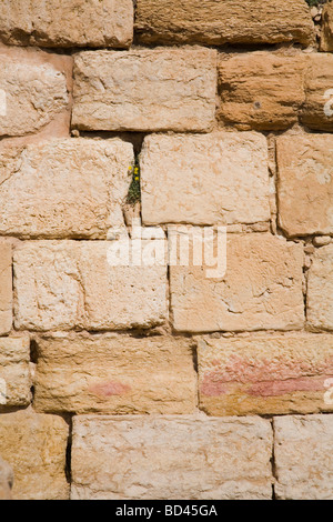 Texture of ancient stone blocks of ancient buildings made of natural ...