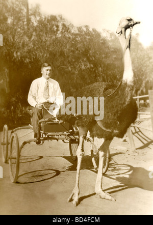 Old Man Riding an Ostrich Stock Photo - Alamy