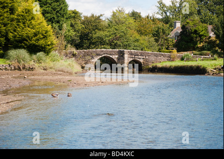 Views of Lerryn Cornwall Stock Photo - Alamy