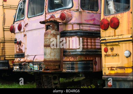 Pink school buses Stock Photo - Alamy