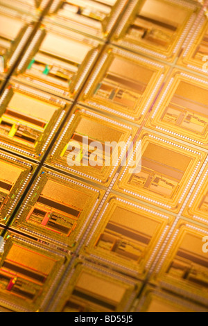 Studio shot of computer chips Stock Photo - Alamy