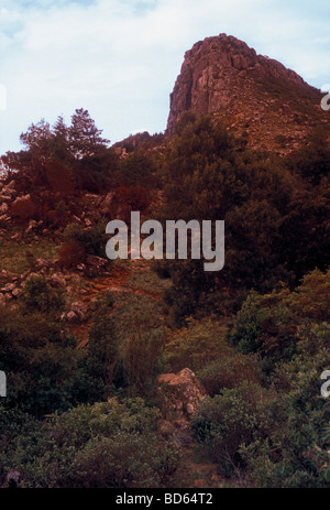 Nyangani Mountains, Nyanga National Park, Nyanga District, Manicaland ...