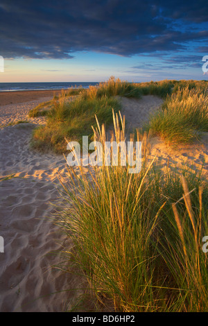 A summer evening at Holkham Bay on the North Norfolk Coast Stock Photo ...