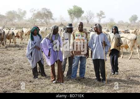 Shepherd and zebu cattle herd, at Lagdo Lake, northern Cameroon ...