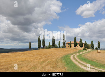Cypress trees and winding road to villa near Pienza, Tuscany, Italy ...