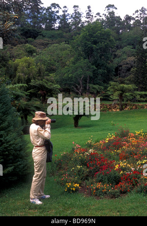 Bvumba botanical garden Eastern Highlands Zimbabwe Stock Photo - Alamy