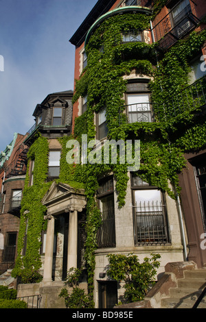 COLONIAL STYLE brick homes along COMMONWEALTH AVENUE BOSTON ...