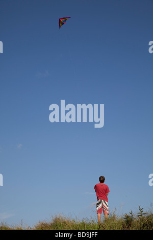 flying Red Kite Stock Photo - Alamy