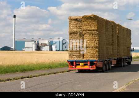 A lorry load of straw going to Ely straw burning power station Stock ...