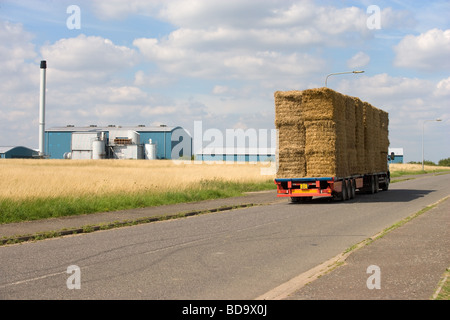 A lorry load of straw going to Ely straw burning power station Stock ...