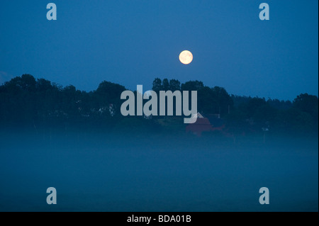 full moon in Swedish summer night Stock Photo - Alamy