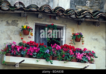 Window box filled with yellow and red nasturtiums Stock Photo - Alamy