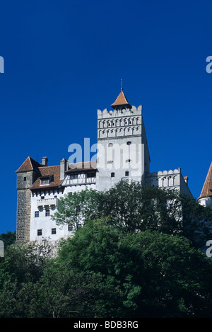 Tower of Dracula castle in Bran, Romania Stock Photo - Alamy