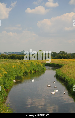 River Brue near Westhay, Somerset Levels, Somerset, England, UK ...