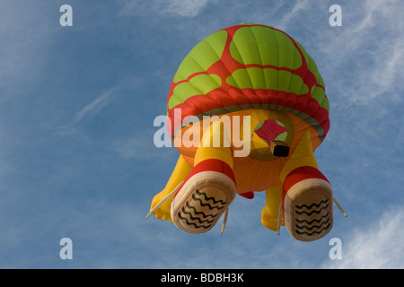 Hot Air Turtle Stock Photo - Alamy