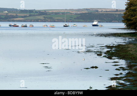 Courtmacsherry, County Cork, Ireland Stock Photo - Alamy