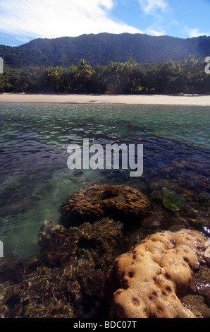 Coral reef fringing rainforest beaches of Daintree National Park north ...