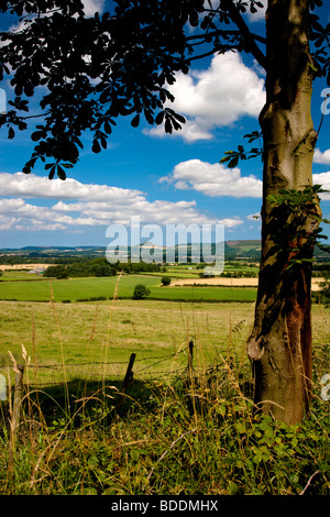 View from Clay Bank, North Yorkshire, England, UK Stock Photo - Alamy