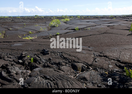 Lava flows, Lava fields, Mauga, Savai'i, Western Samoa Stock Photo - Alamy