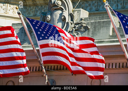 USA, Massachusetts, Boston, American flags planted on Boston Common as ...