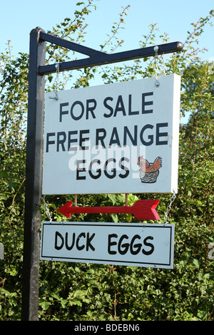 Free range eggs for sale sign, Midhurst, West Sussex, England, United ...