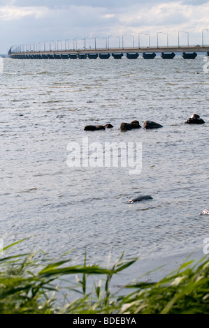 oland, island, bridge, between, mainland, sweden, and oland, near ...