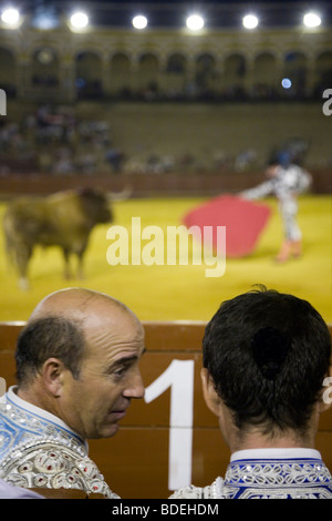 Real Maestranza bullring during a bullfight, Seville, Spain Stock Photo ...