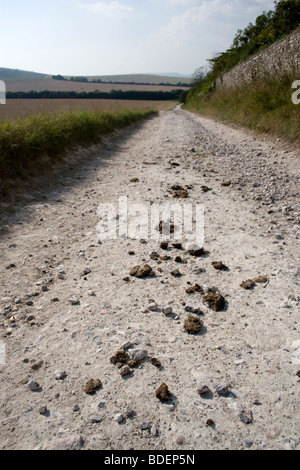 Rough rugged pathway up a hill in Northern England Stock Photo - Alamy