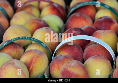 Ontario Locally Grown Peaches, Niagara Orchards Stock Photo - Alamy