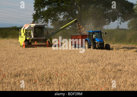 Class Dominator 106 Combine Harvester Cutting Barley Stock Photo - Alamy