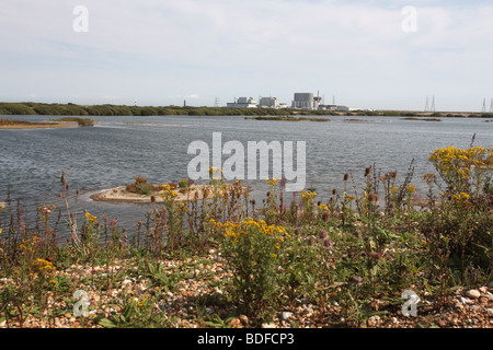 RSPB Dungeness nature reserve Stock Photo - Alamy
