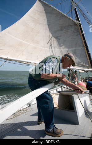 Bill Coleman retired whitstable oyster fisherman at the helm of his ...